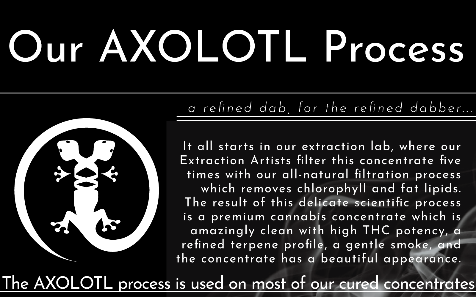 Cured Concentrates • Newt Brothers Artisanal